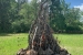 Shadow Bay Celtic Festival - Mythical & Medieval Fest : Mythical ...